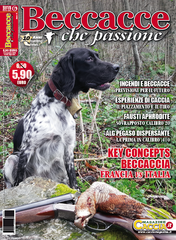 Il nuovo numero di Beccacce che Passione vi aspetta in edicola - Caccia ...