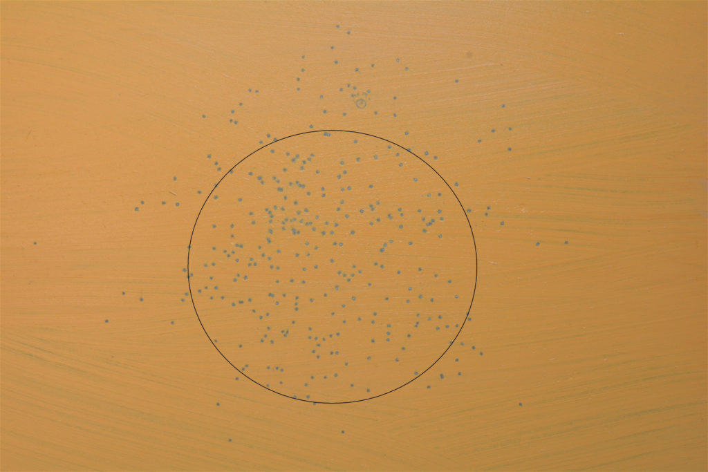 Baschieri & Pellagri Balistite 34 calibro 12: il test - Caccia Magazine