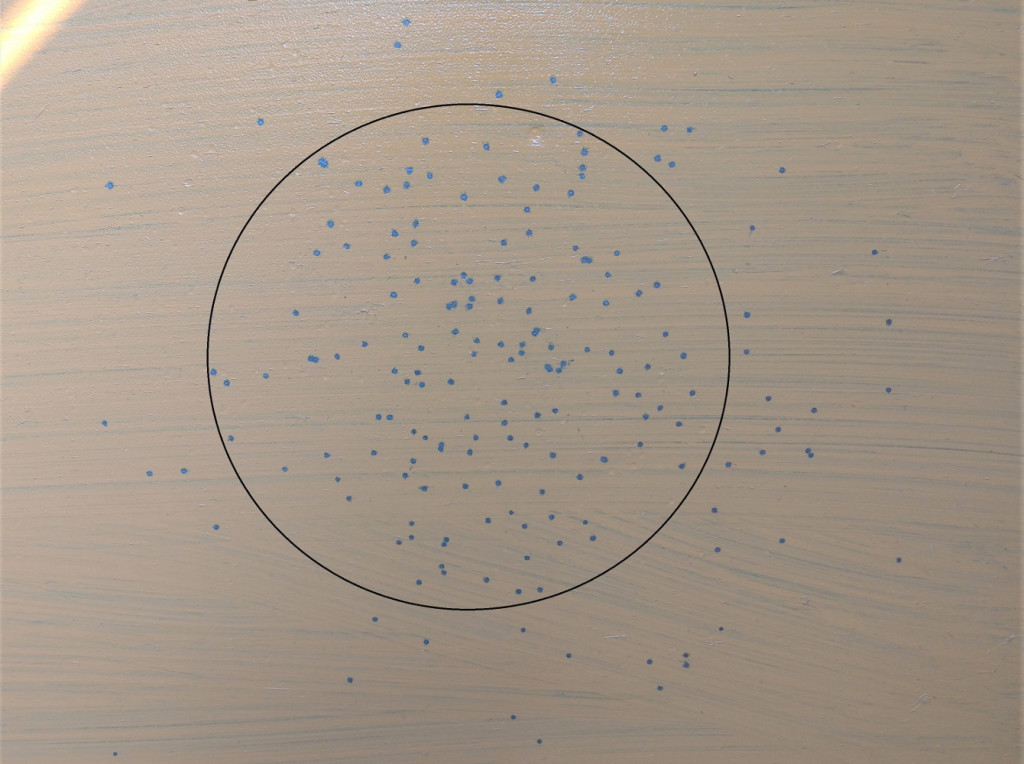 Baschieri & Pellagri Balistite 27 calibro 20: il test - Caccia Magazine