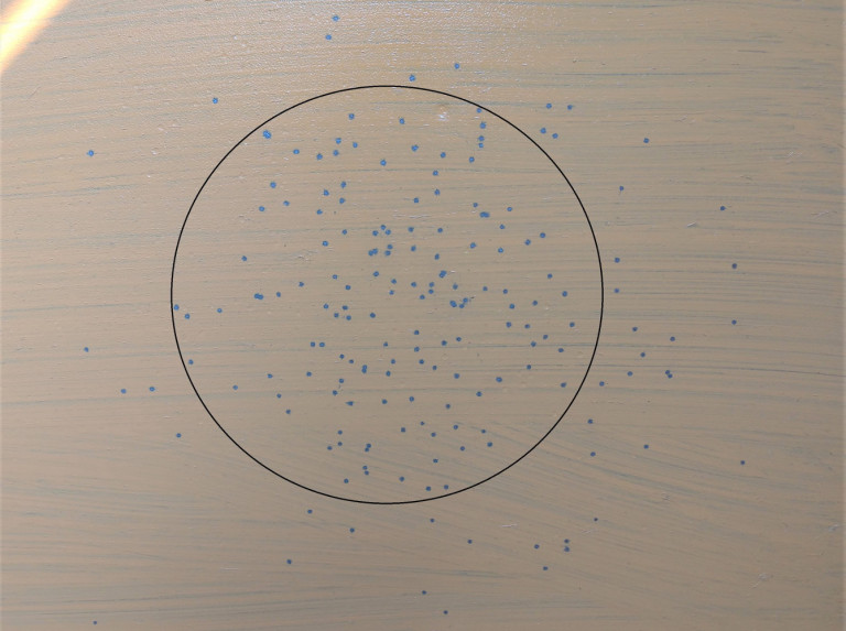 Baschieri & Pellagri Balistite 27 calibro 20: il test - Caccia Magazine