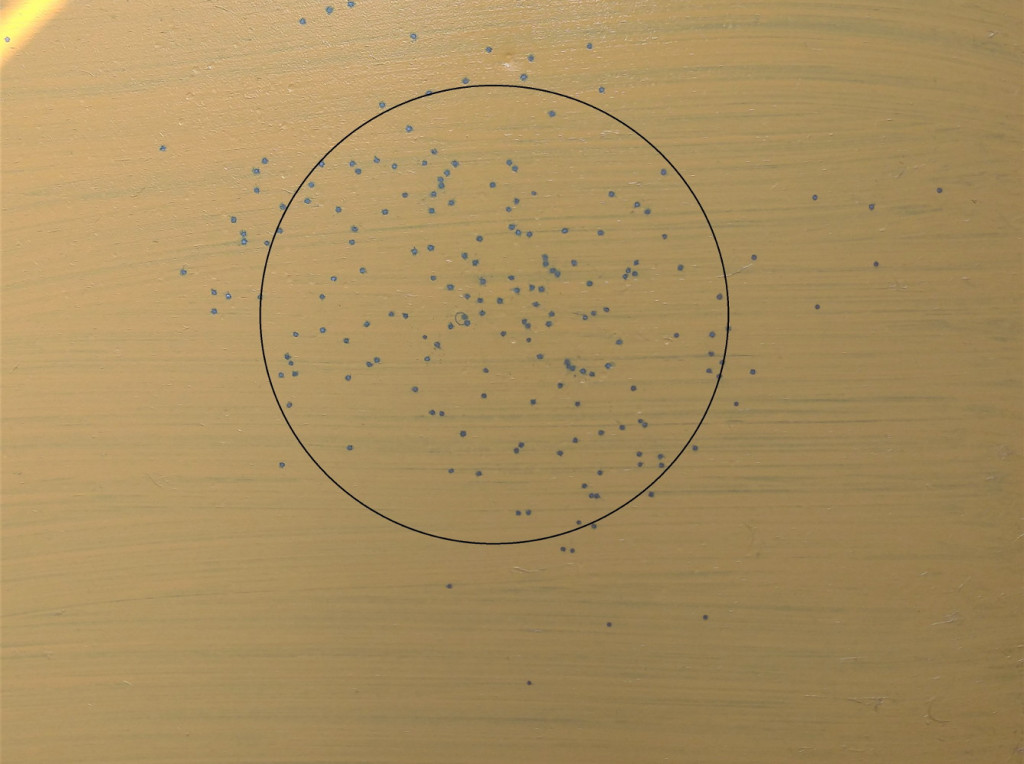 Baschieri & Pellagri Balistite 27 calibro 20: il test - Caccia Magazine