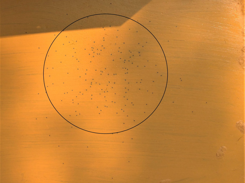 Baschieri & Pellagri Balistite 27 calibro 20: il test - Caccia Magazine