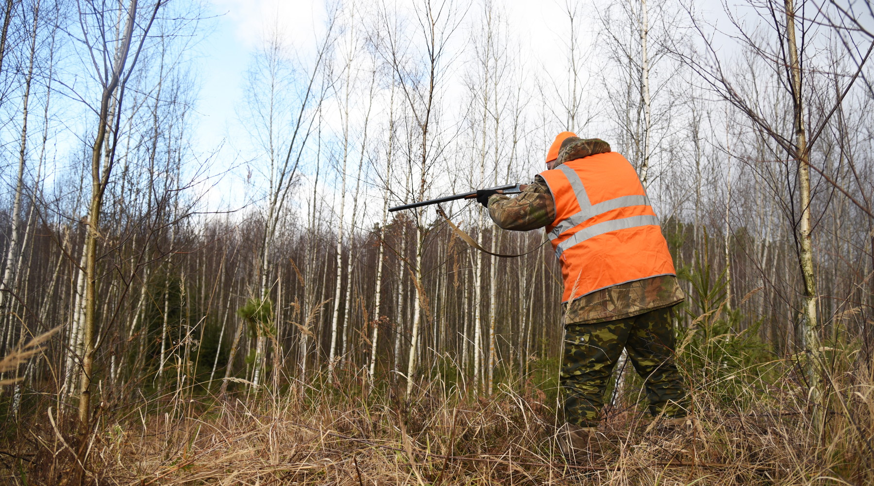 Associazione unica dei cacciatori, l’appello dell’Arcicaccia - Caccia ...