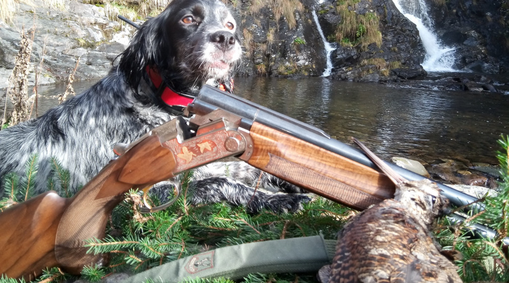 Beccacce che Passione in edicola: ecco il primo numero dell'anno ...