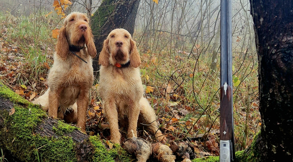 Beccacce che Passione: il nuovo numero in edicola - Caccia Magazine