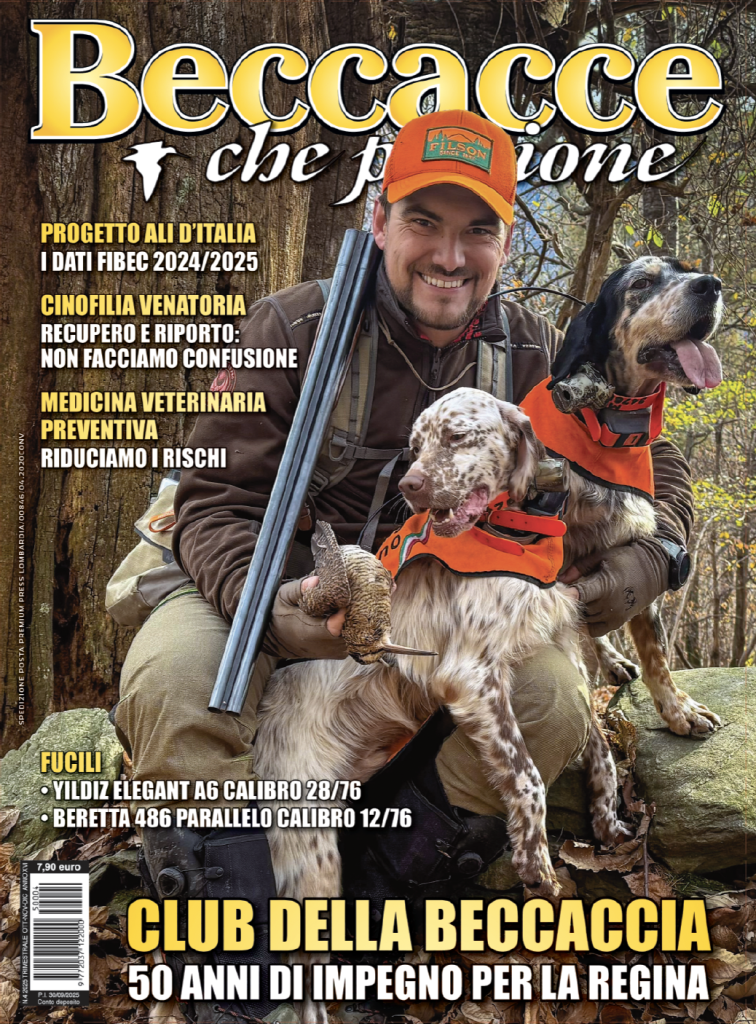 Beccacce che Passione 4 vi aspetta in edicola - Caccia Magazine